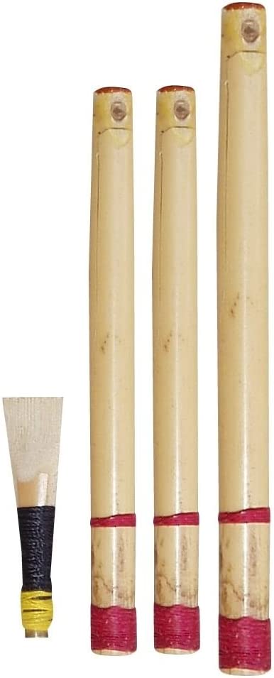 Choisir et Acheter une cornemuse – Instrument Celtique.fr